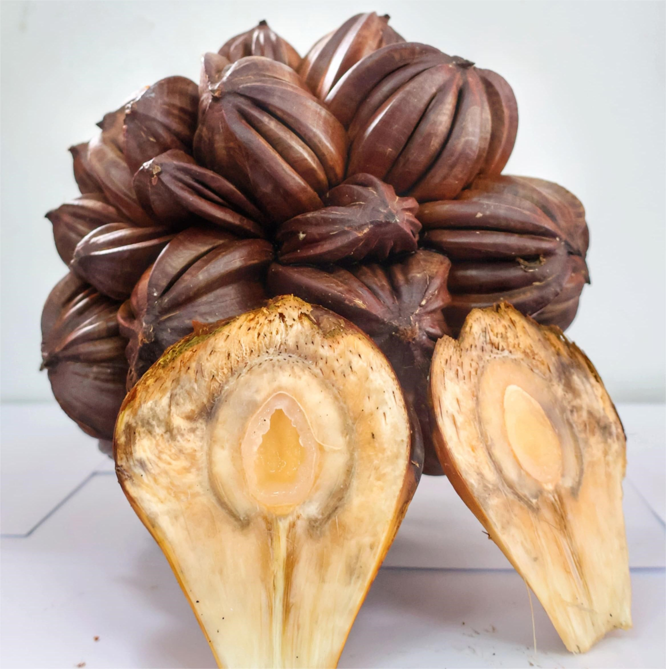 Nilai Ekonomi dan Lingungan Tanaman Nipah | Investing.com