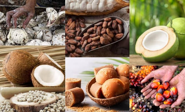 Fluktuasi Harga Komoditas Perkebunan Global: Tantangan dan Peluang bagi ... Fluktuasi Harga Komoditas Perkebunan Global: Tantangan dan Peluang bagi ...